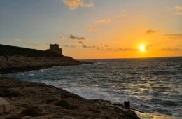 Understanding MQRIC and Malta’s Education Authority | Expatax Malta